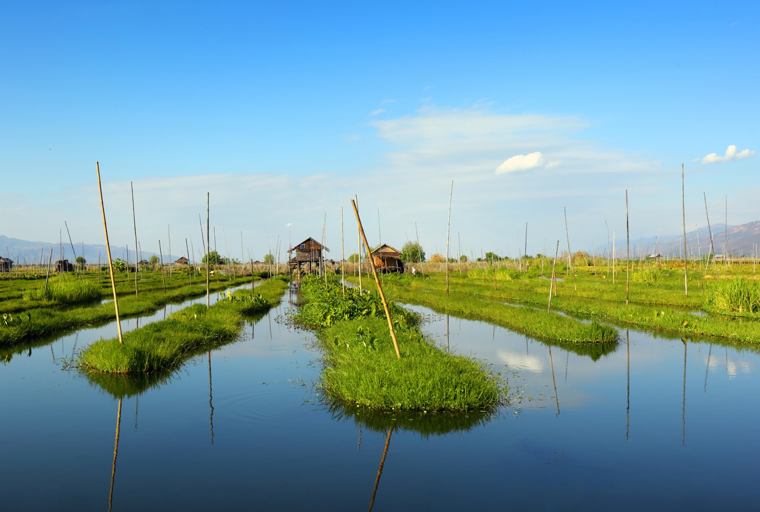 National Geographic Live: Adaptation | The Reser