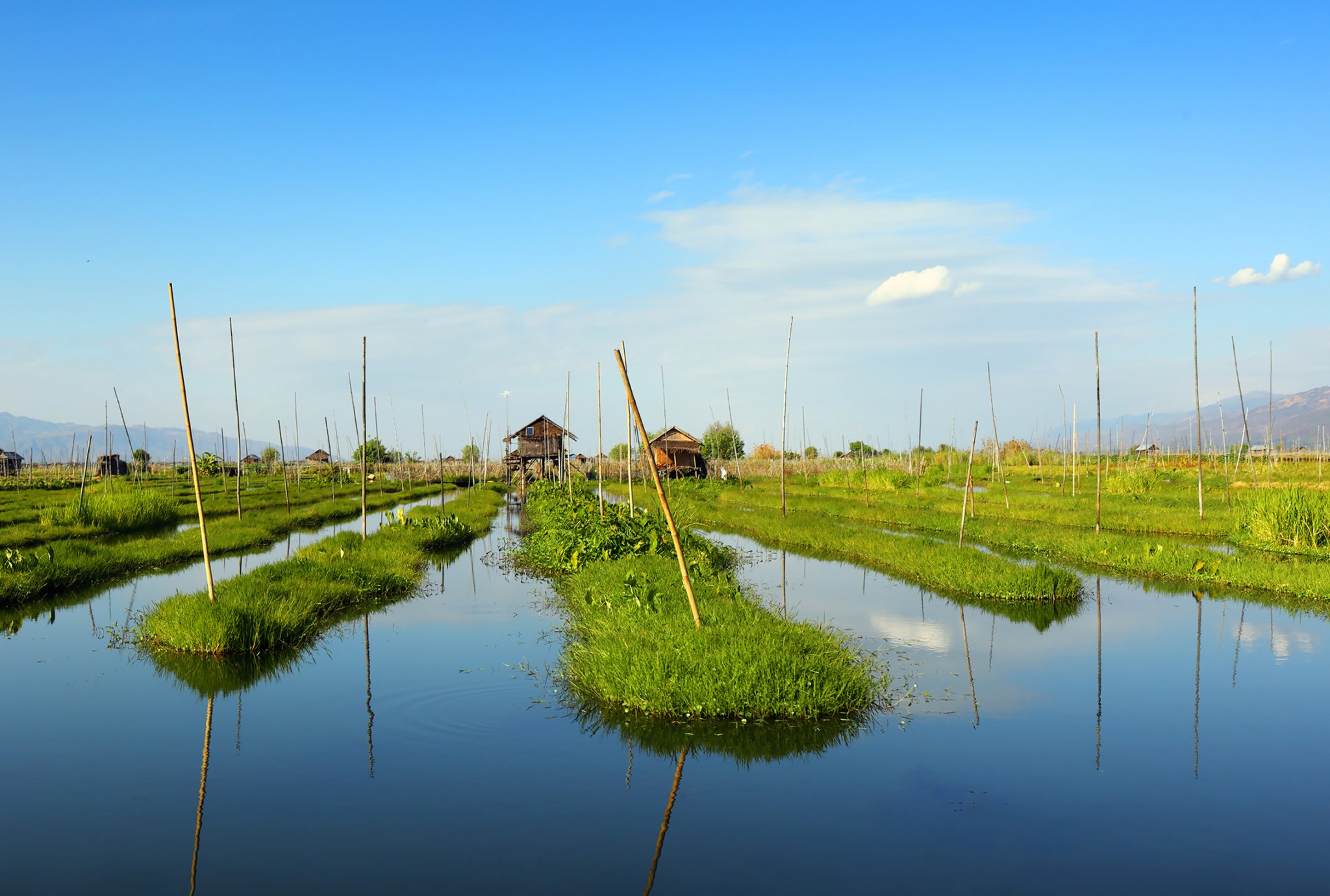 National Geographic Live: Adaptation | The Reser