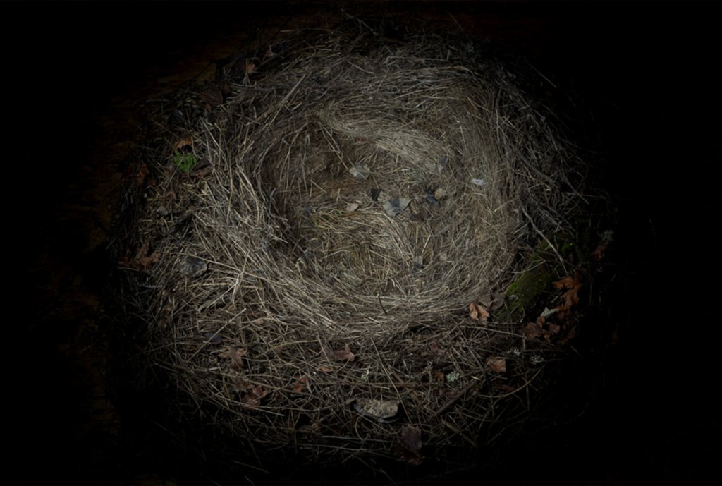 Nestbuilding Workshop | The Reser